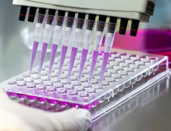 How We Helped an Innovative Biotech Company Drive SEC Filing ...