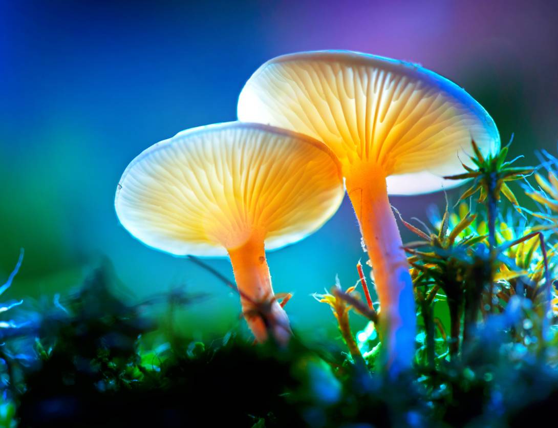 ESG Reporting & Data Management Solutions | DFIN